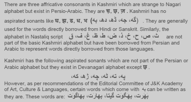 Kashmiri Language - Its Origin & Development - M K Raina